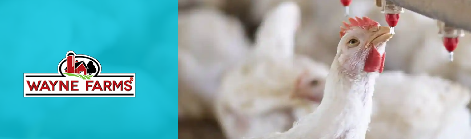 Etude de cas - AMA XpertEye